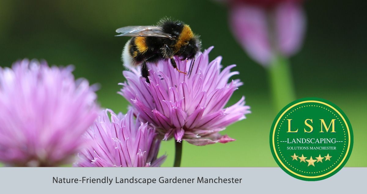 Manchester landscape gardener - design and build landscaper